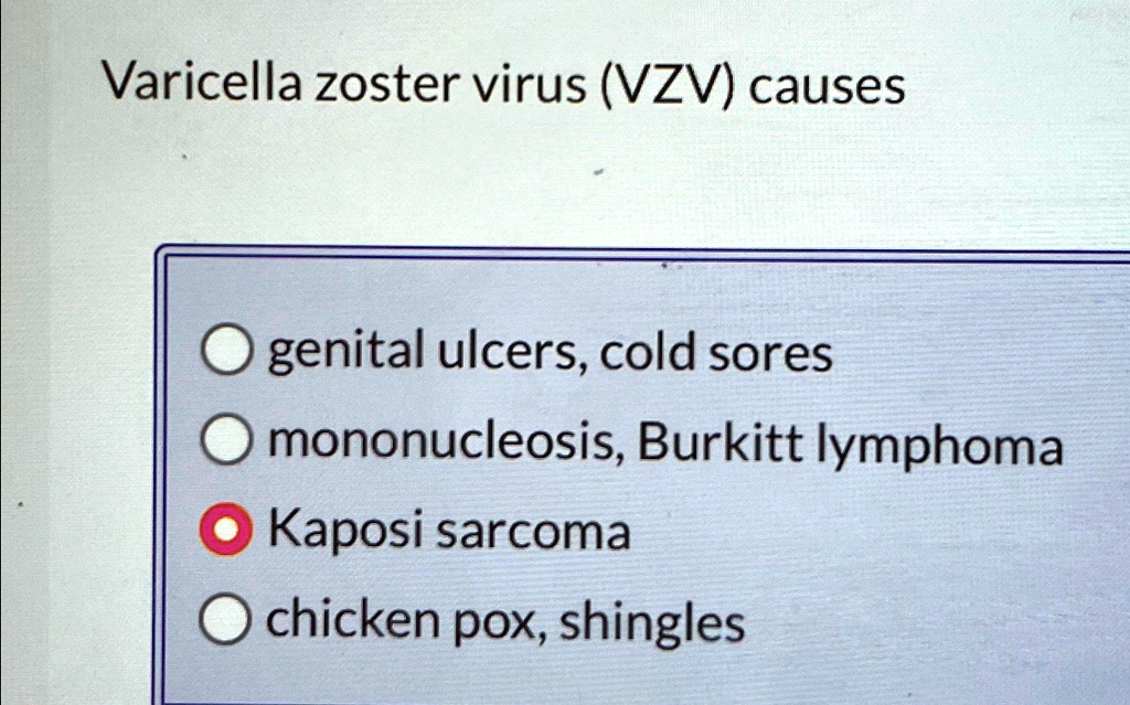 Varicella zoster virus (VZV) causes: - Genital ulcers, cold sores ...