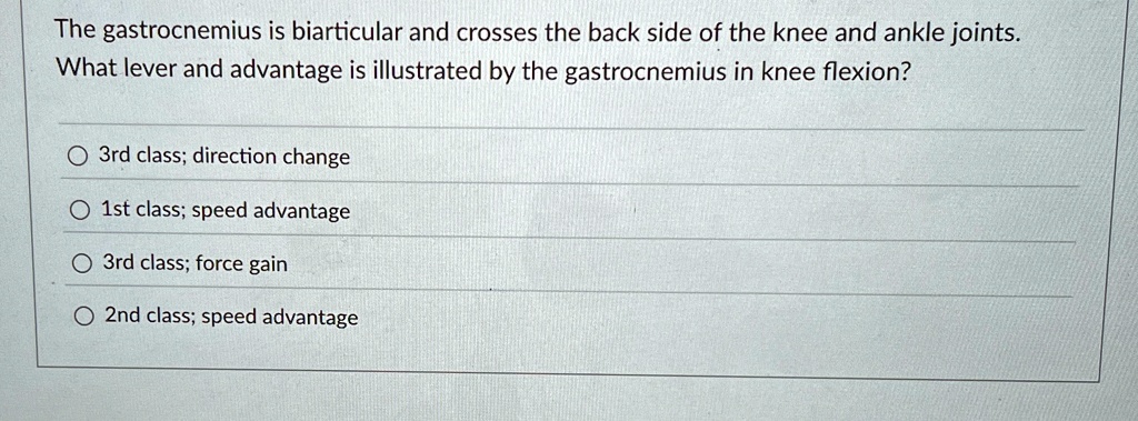 the gastrocnemius is biarticular and crosses the back side of the knee ...