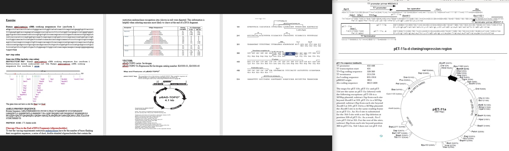 exp 2 clone the human amelogenin cdna coding sequence for isoform 1 into the ndei and bamhi ...