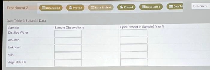 Experiment 2 Data Table 3 Photo 3 Data Table 4 Photo 4 Data Table 5 Data Table Exercise 2 Data ...