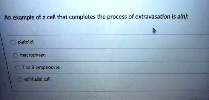 SOLVED:An example of a cell that completes the process of extravasation ...