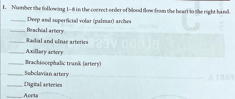 1. Number the following 1–8 in the correct order of blood flow from the ...