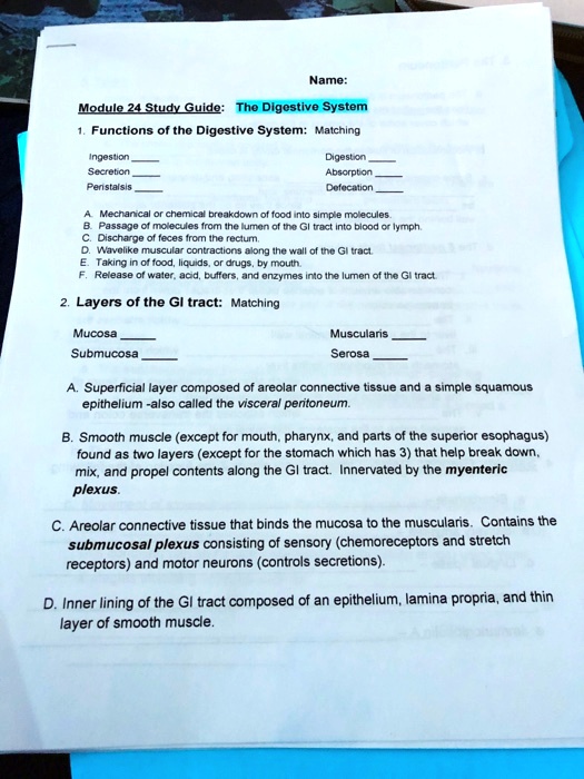 SOLVED: Module 24 Study Guide: The Digestive System 1. Functions of the ...