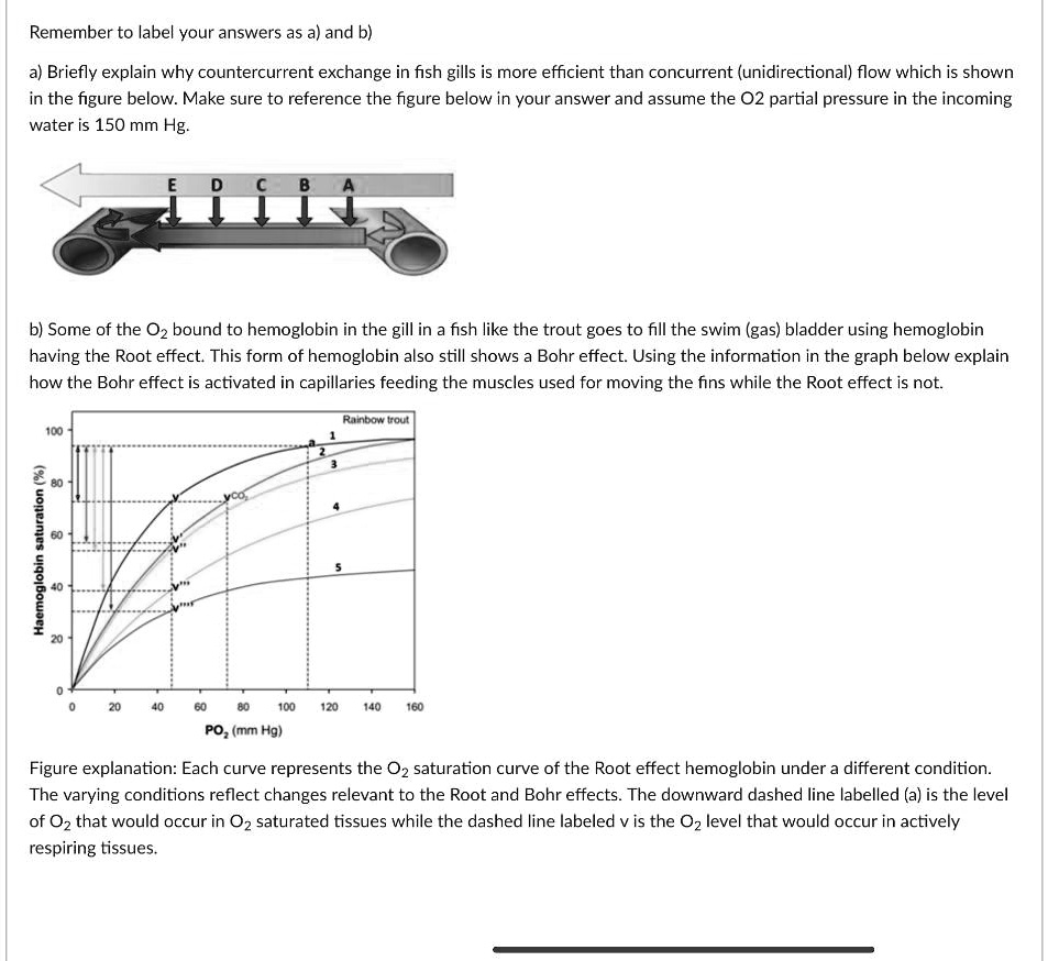 remember to label your answers as a and b a briefly explain why ...