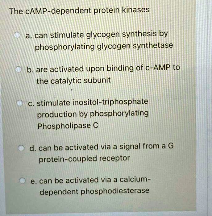 SOLVED: The cAMP-dependent protein kinases can stimulate glycogen ...