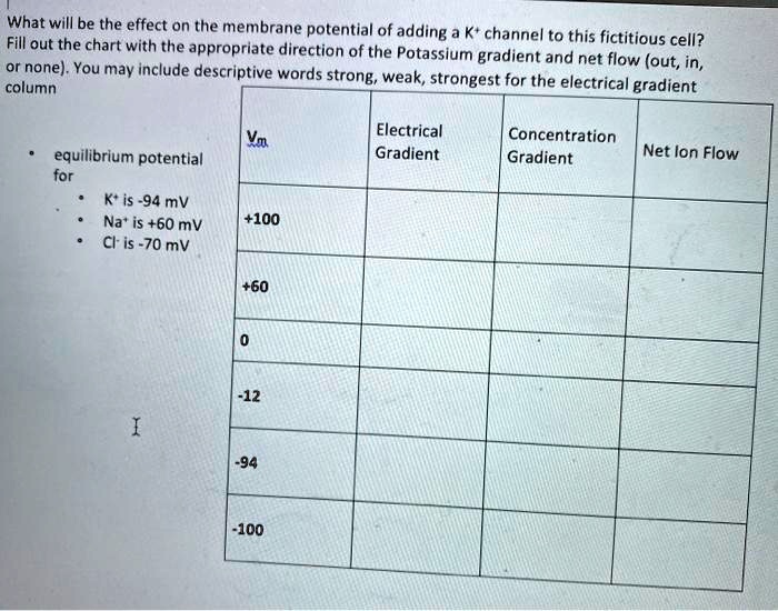 SOLVED: What will be the effect on the membrane potential of adding a K ...