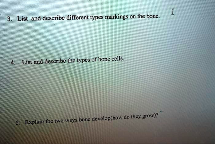 SOLVED: List and describe different types of markings on the bone. List and describe the types ...