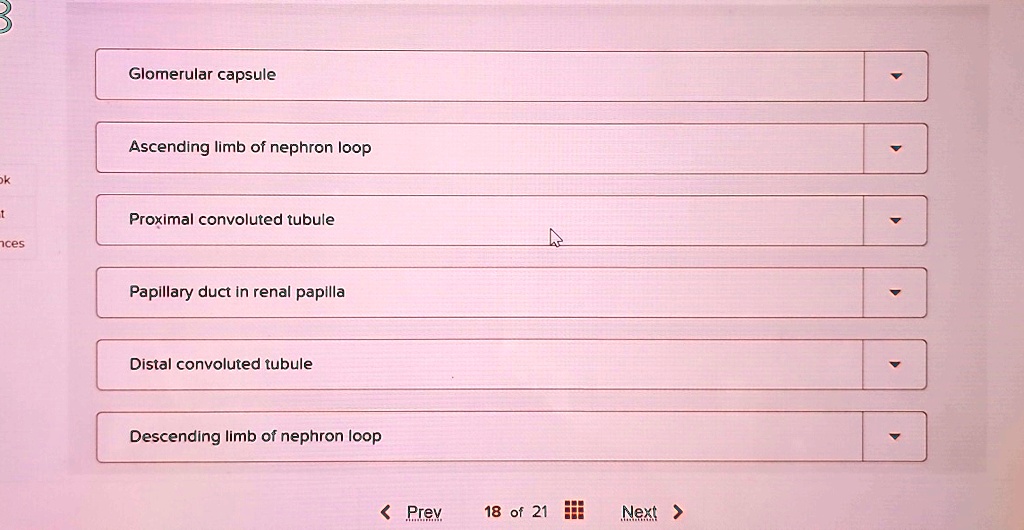 Glomerular capsule Ascending limb of nephron loop Proximal convoluted ...