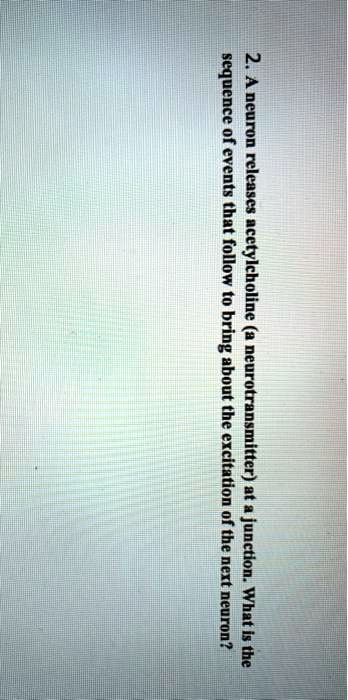 sequence of events aneuron releascs that follow acetylcholine bring ...