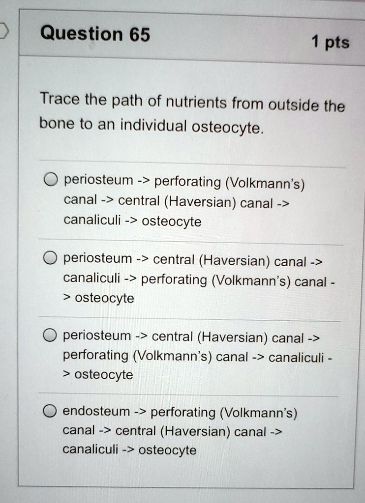 SOLVED: Question 65 1 pts Trace the path of nutrients from outside the ... SOLVED: Question 65 1 pts Trace the path of nutrients from outside the ...