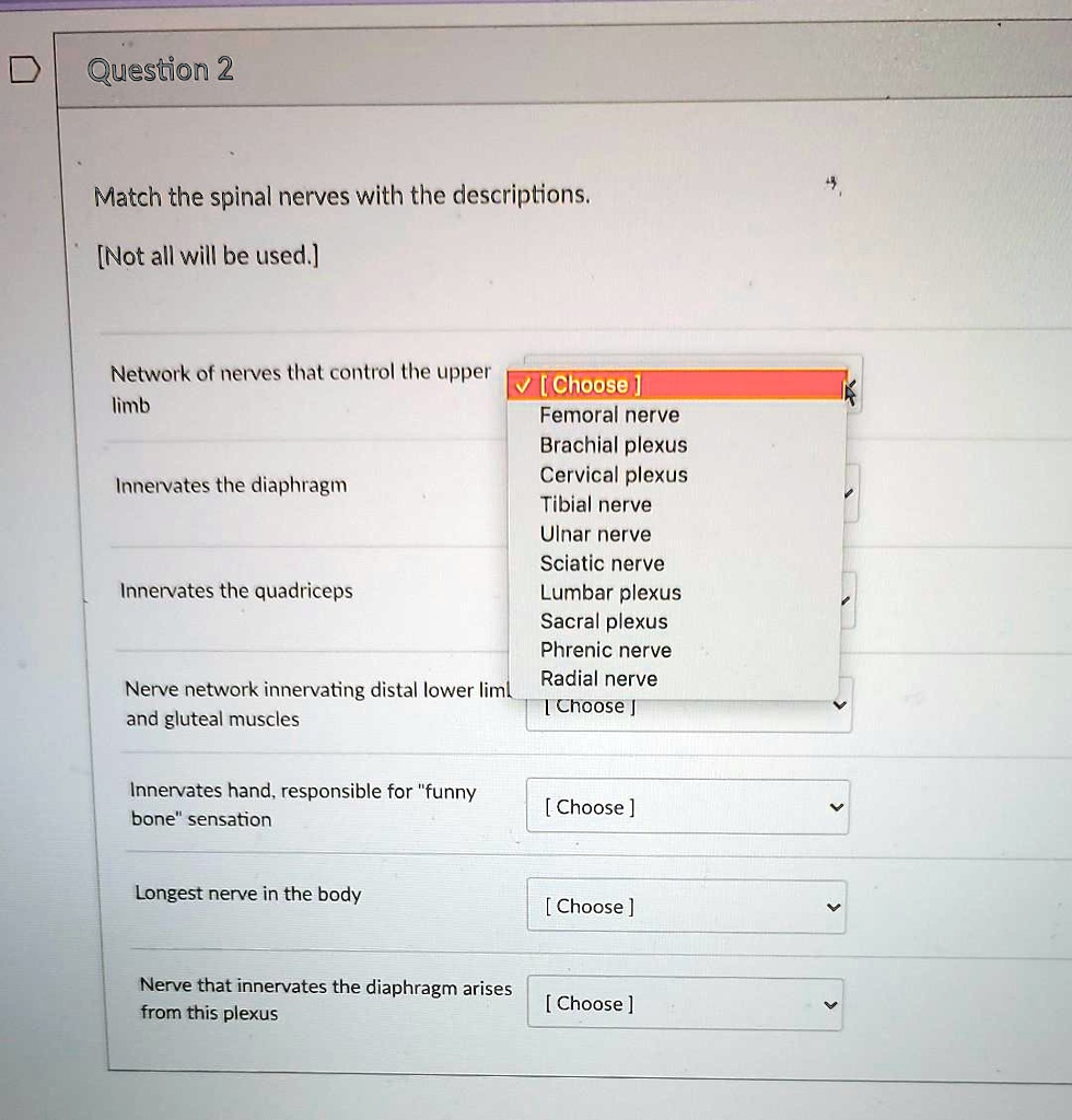 Question 2 Match the spinal nerves with the descriptions [Not all will ...