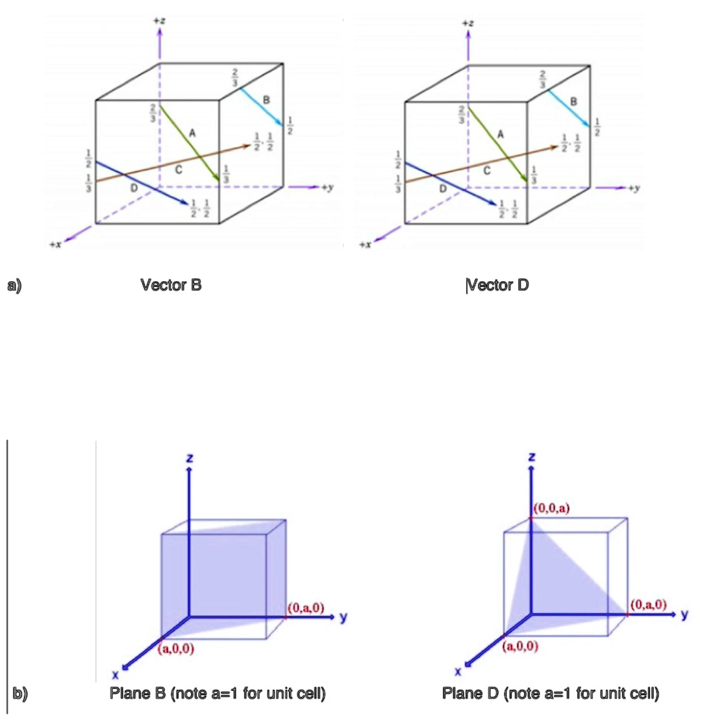 12 13 a) 23 A 23 C D B 2 12 12 12 Vector B b) +y Z 12 13 23 A 23 B 12 12 12 13 12 C D Vector D ...