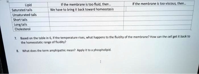 lipid saturated tails unsaturated tails short talls long talls ...