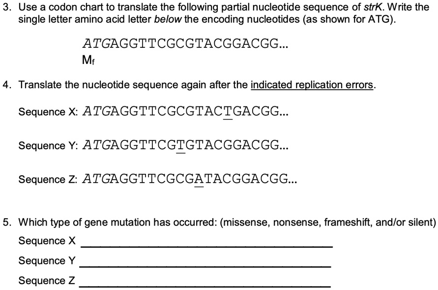 SOLVED: Use a codon chart to translate the following partial nucleotide sequence of strK. Write ...