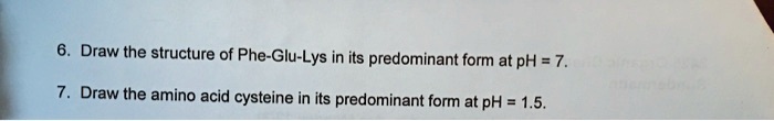 6. Draw the structure of Phe-Glu-Lys in its predominant form at pH = 7 ...