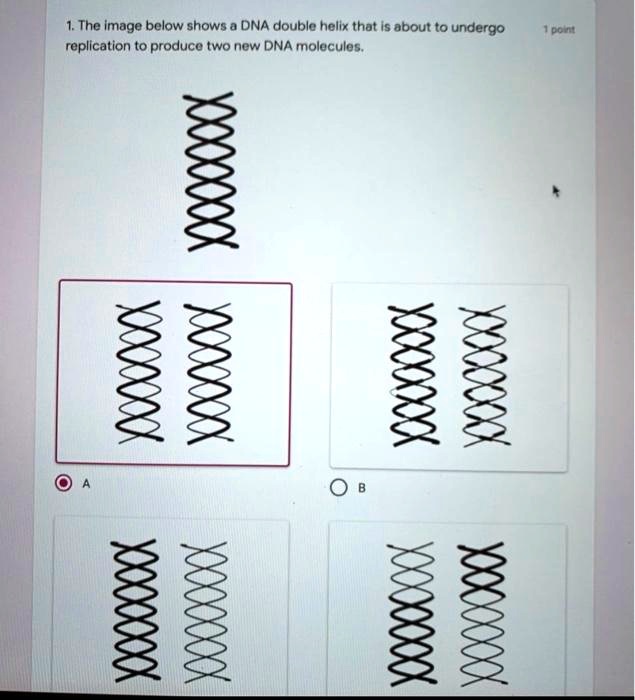 [GET ANSWER] the image below shows dna double helix thot is about to ...