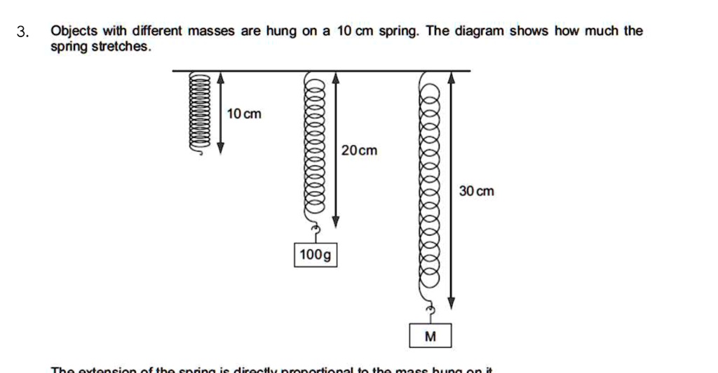3 objects with different masses are hung on a 10 cm spring the diagram ...
