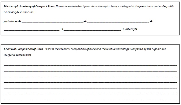 microscopic anatomy of compact bone trace the route taken by nutrients ...