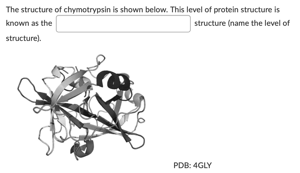 the structure of chymotrypsin is shown below this level of protein structure is known as the ...
