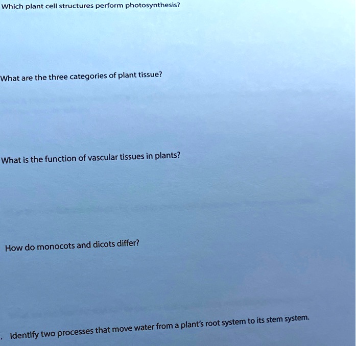 which plant cell structures perform photosynthesis what are the three ...