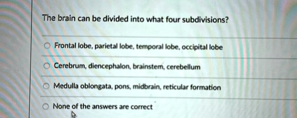 the brain can be divided into what four subdivisions frontal lobe ...