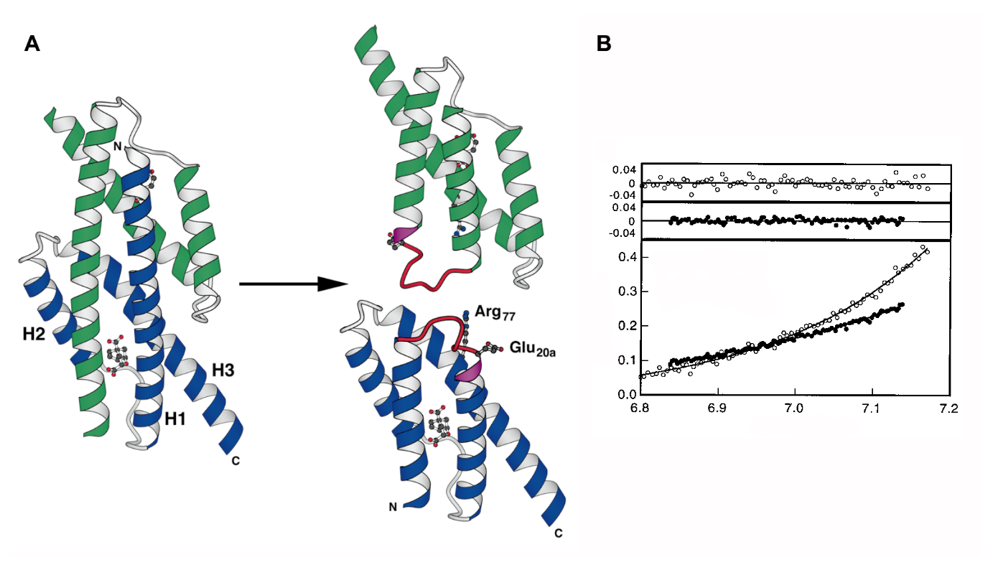 genetic selection was exploited in combination with structure based ...