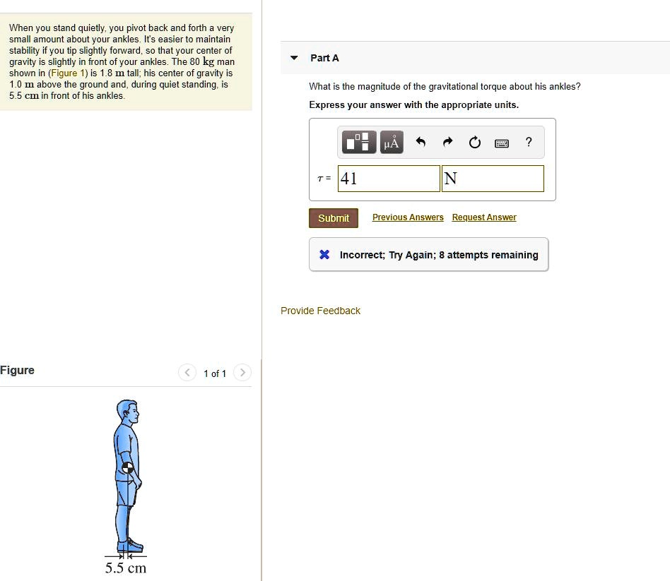 SOLVED: When you stand quietly, you pivot back and forth a very small ...