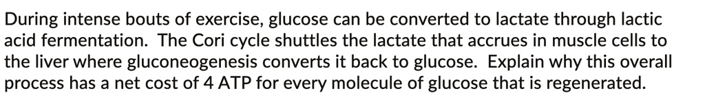 During intense bouts of exercise, glucose can be converted to lactate ...