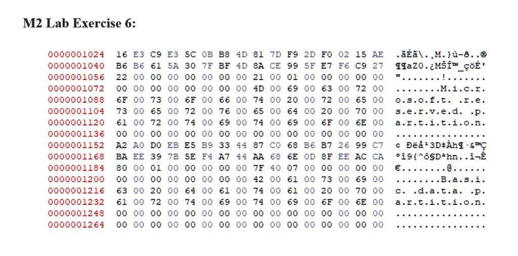 Solved Ex 6 Partition 1 Partition 1a Partition Type Guid In Proper