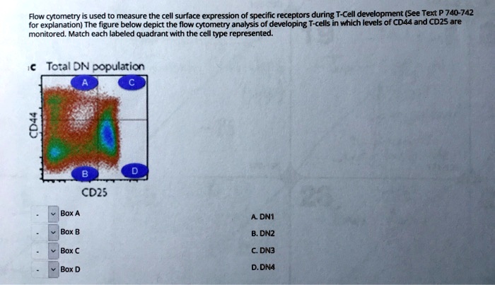 SOLVED: Flow cytometry used measure the cell surface expression of ...