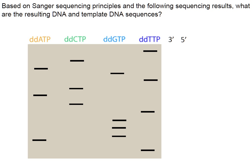 based on sanger sequencing principles and the following sequencing results what are the ...