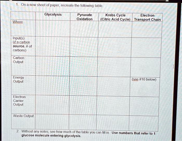 1. On a new sheet of paper, recreate the following table. | | Glycolysis | Pyruvate Oxidation ...