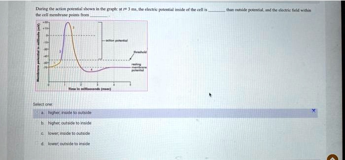 SOLVED: During the action potential shown in the graph at 3 ms, the ...
