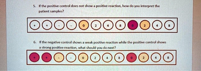 SOLVED: Ifthe positive control does rot show positive Ractinn howdo you ...