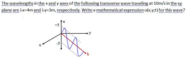 the wavelengths in the x and y axes of the following transverse wave ...