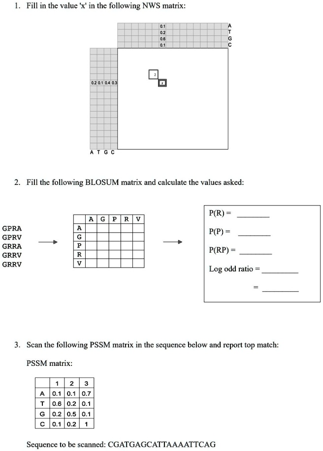 SOLVED: Texts: Question 1 - Based on Needleman-Wunsch matrix Question 2 ...