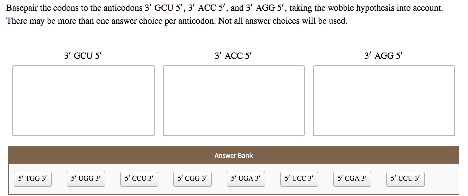 Solved Basepair The Codons To The Anticodons 3 Gcu 5 3 Acc 5 And 3