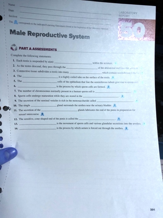 Name Date Section The corresponds to the indicated Learning Outcome(s ...