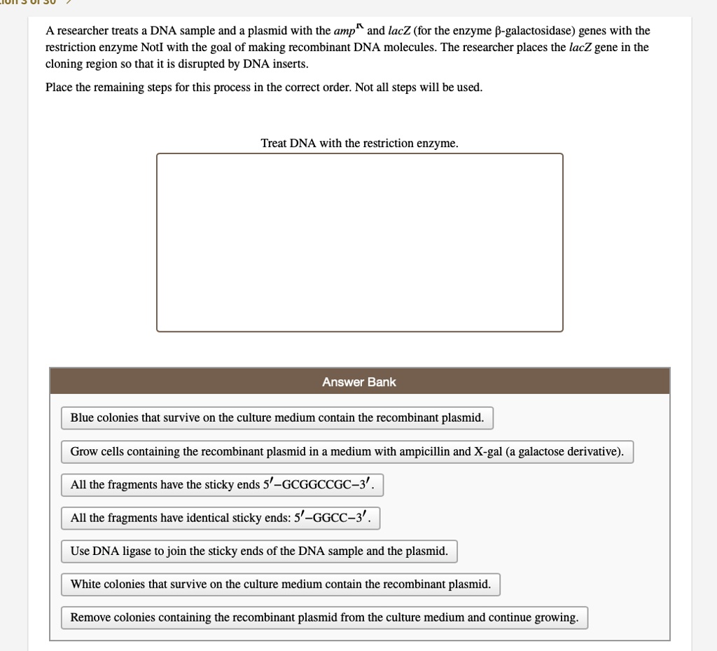 a researcher treats a dna sample and plasmid with the amp and lacz for ...