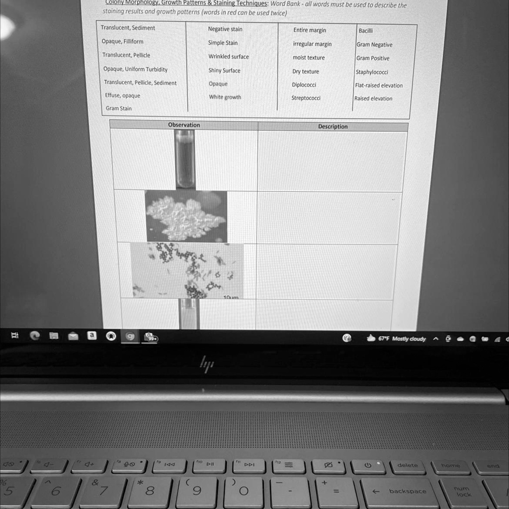 SOLVED:'videos and lab manual sections answer the following questions ...
