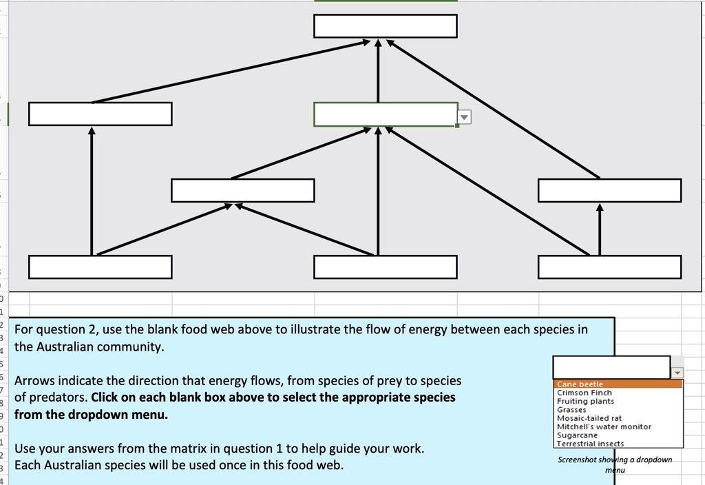 SOLVED: Construct a food web illustrating the flow of energy between ...