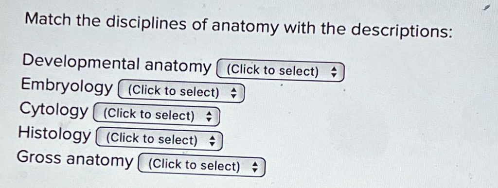 Match the disciplines of anatomy with the descriptions: Developmental ...