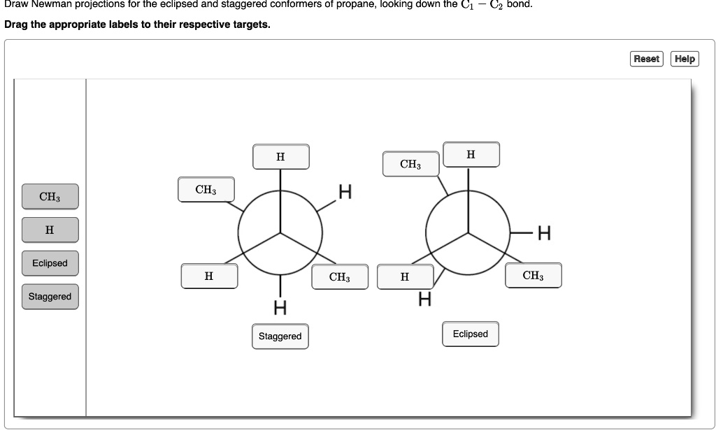 SOLVED:Draw Newman projections for the eclipsed and staggered ...