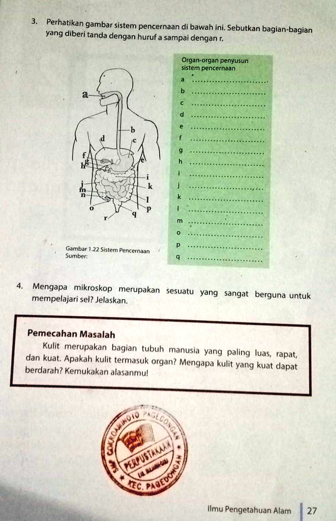 SOLVED: bantu jawab ya kakak... Perhatikan gambar sistem pencernaan di ... SOLVED: bantu jawab ya kakak... Perhatikan gambar sistem pencernaan di ...