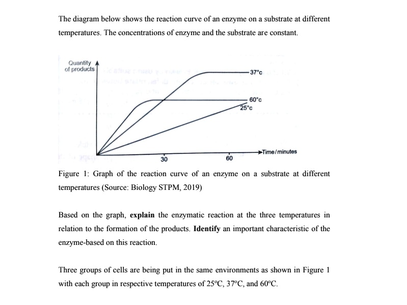 The diagram below shows the reaction curve of an enzyme on a substrate ...