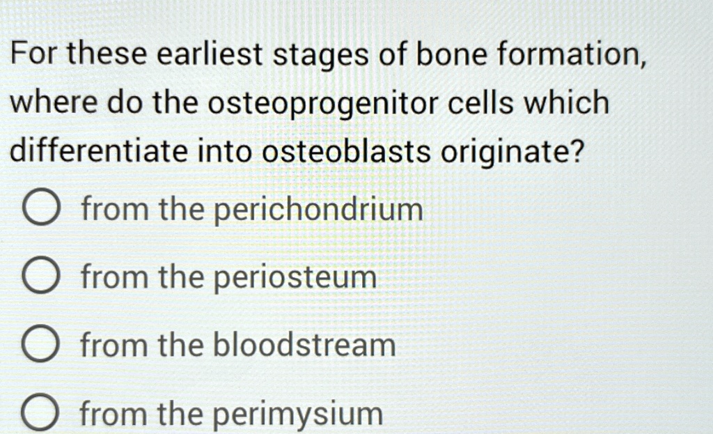 For these earliest stages of bone formation, where do the ...
