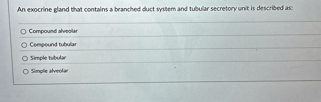an exocrine gland that contains a branched duct system and tubular ...