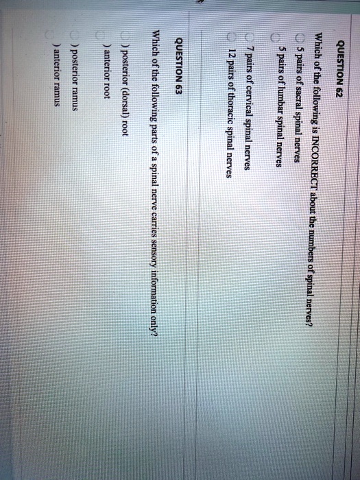 SOLVED: antcrior posterior IJU I2puor Ti 19 nojganoa Talus Tdmu ...