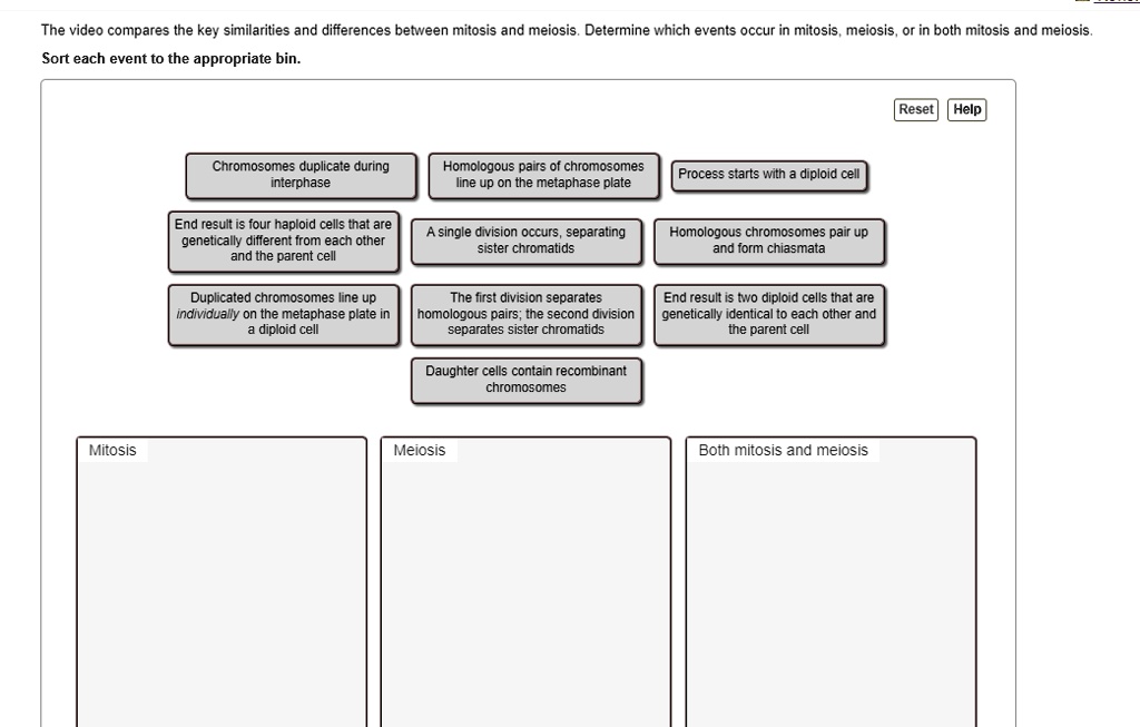 The video compares the key similarities and differences between mitosis ...