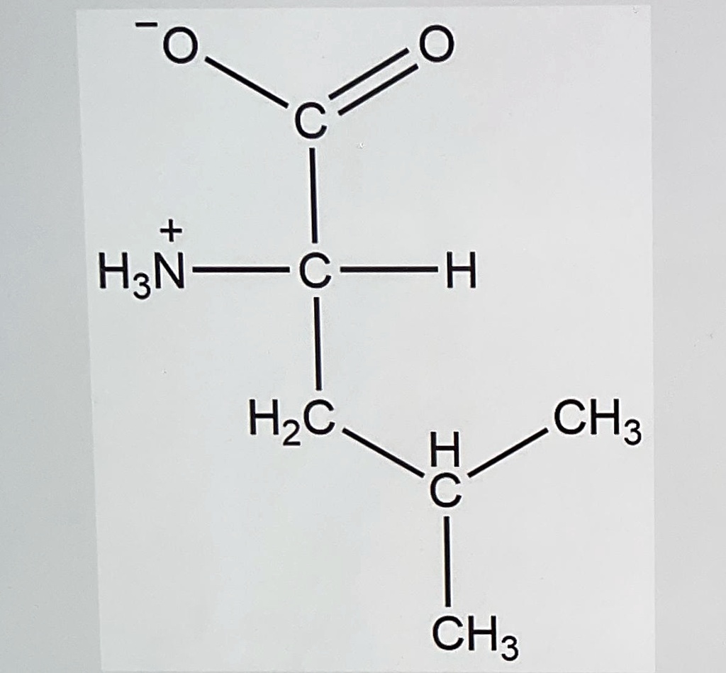 SOLVED: 1)Identify the amino acid 2)Identify the 3 letter abbreviation ... SOLVED: 1)Identify the amino acid 2)Identify the 3 letter abbreviation ...
